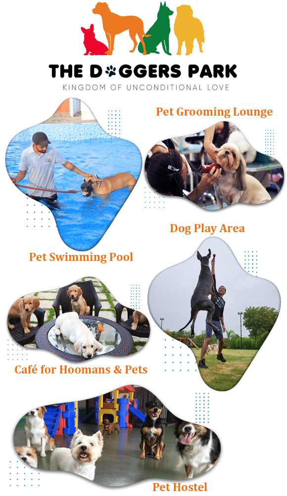 The Doggers Park (Vadodara), Vadodara Helpline